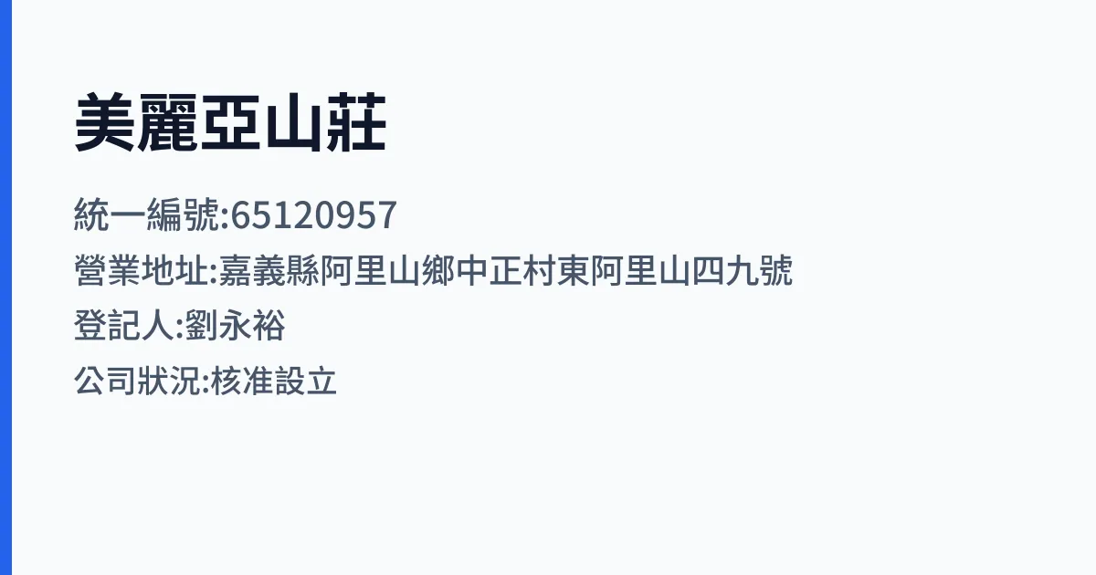 美麗亞山莊 - 統編 65120957（嘉義縣） 公司登記資料與營業項目詳細圖表