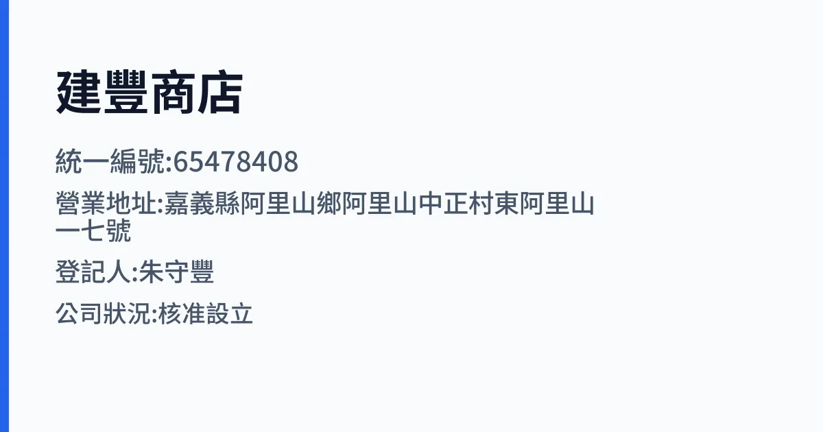 建豐商店 - 統編 65478408（嘉義縣） 公司登記資料與營業項目詳細圖表