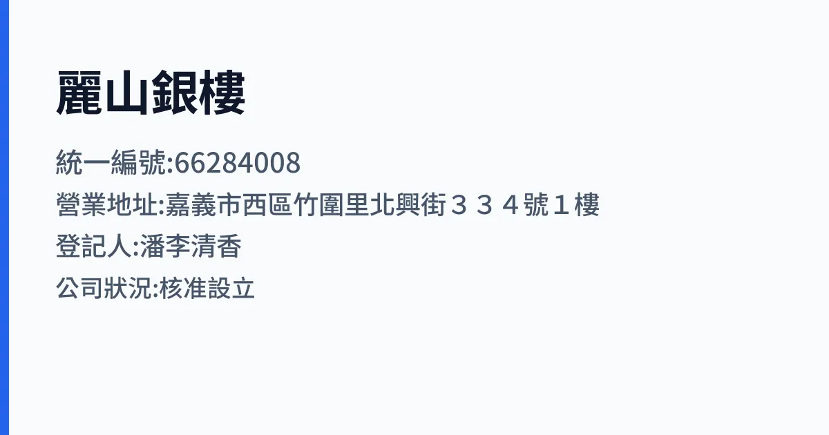麗山銀樓 - 統編 66284008(嘉義市) 公司登記資料與營業項目詳細圖表