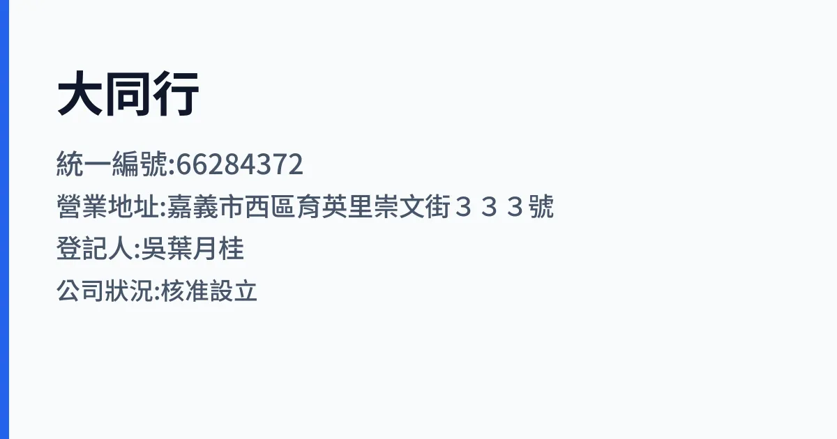 大同行 - 統編 66284372（嘉義市） 公司登記資料與營業項目詳細圖表