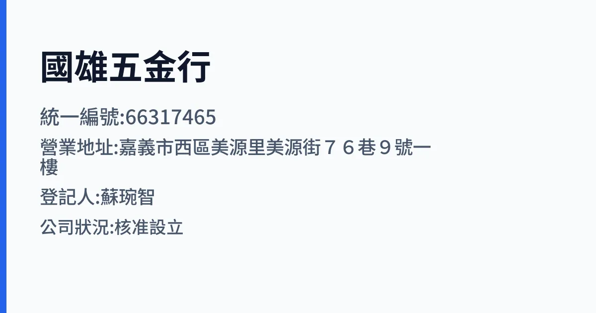 國雄五金行 - 統編 66317465（嘉義市） 公司登記資料與營業項目詳細圖表
