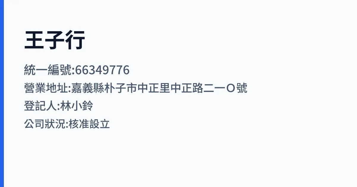 王子行 - 統編 66349776(嘉義縣) 公司登記資料與營業項目詳細圖表