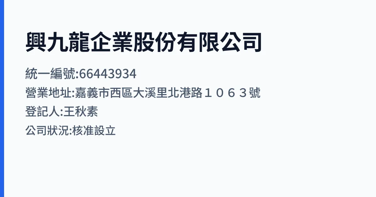 興九龍企業股份有限公司 - 統編 66443934(嘉義市) 公司登記資料與營業項目詳細圖表