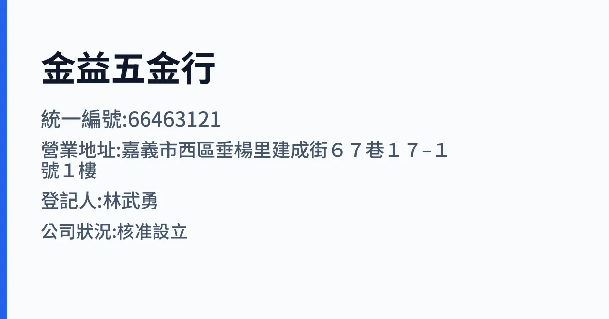 金益五金行 - 統編 66463121(嘉義市) 公司登記資料與營業項目詳細圖表