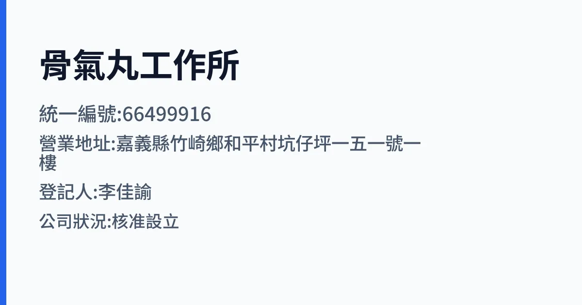 骨氣丸工作所 - 統編 66499916(嘉義縣) 公司登記資料與營業項目詳細圖表