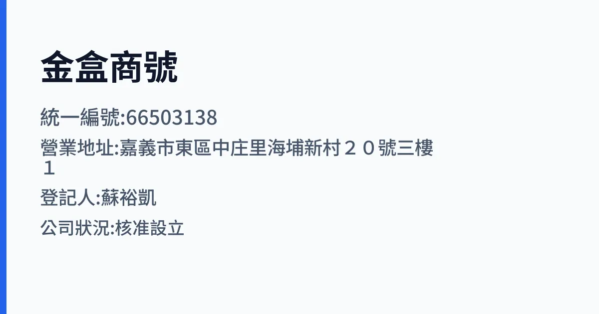 金盒商號 - 統編 66503138(嘉義市) 公司登記資料與營業項目詳細圖表