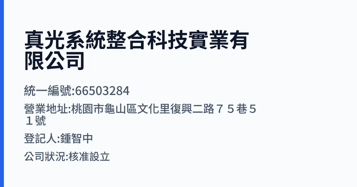 真光系統整合科技實業有限公司 - 統編 66503284(桃園市) 公司登記資料與營業項目詳細圖表