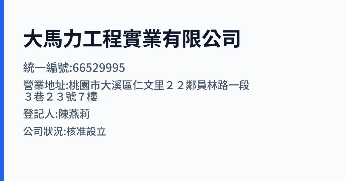 大馬力工程實業有限公司 - 統編 66529995(桃園市) 公司登記資料與營業項目詳細圖表