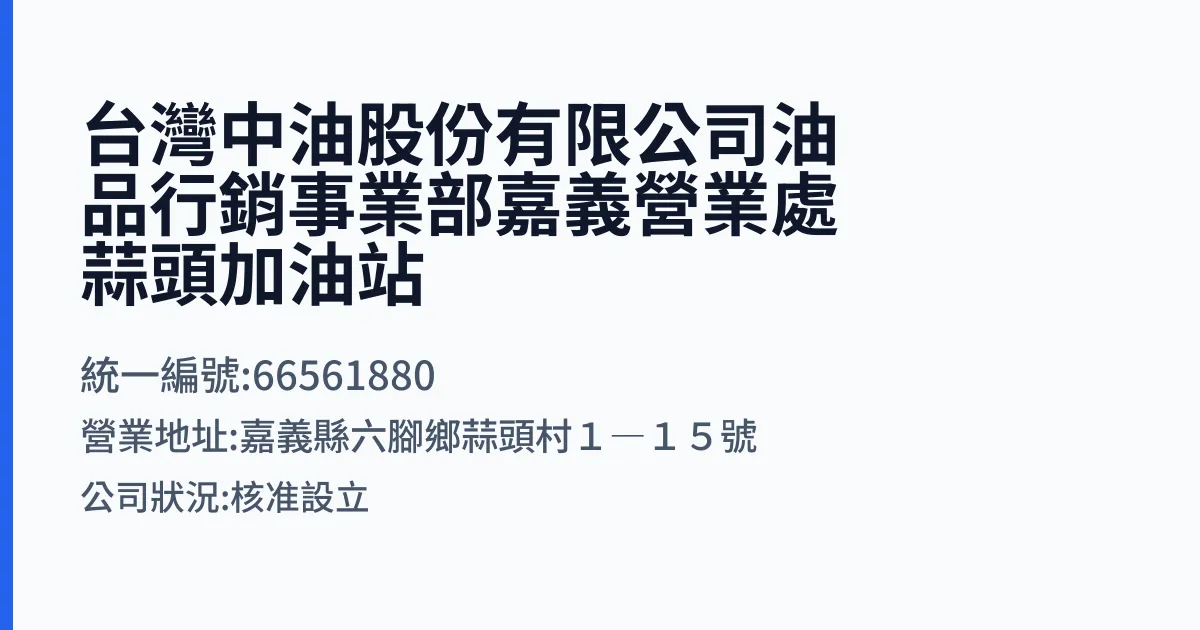 台灣中油股份有限公司油品行銷事業部嘉義營業處蒜頭加油站 - 統編 66561880(嘉義縣) 公司登記資料與營業項目詳細圖表