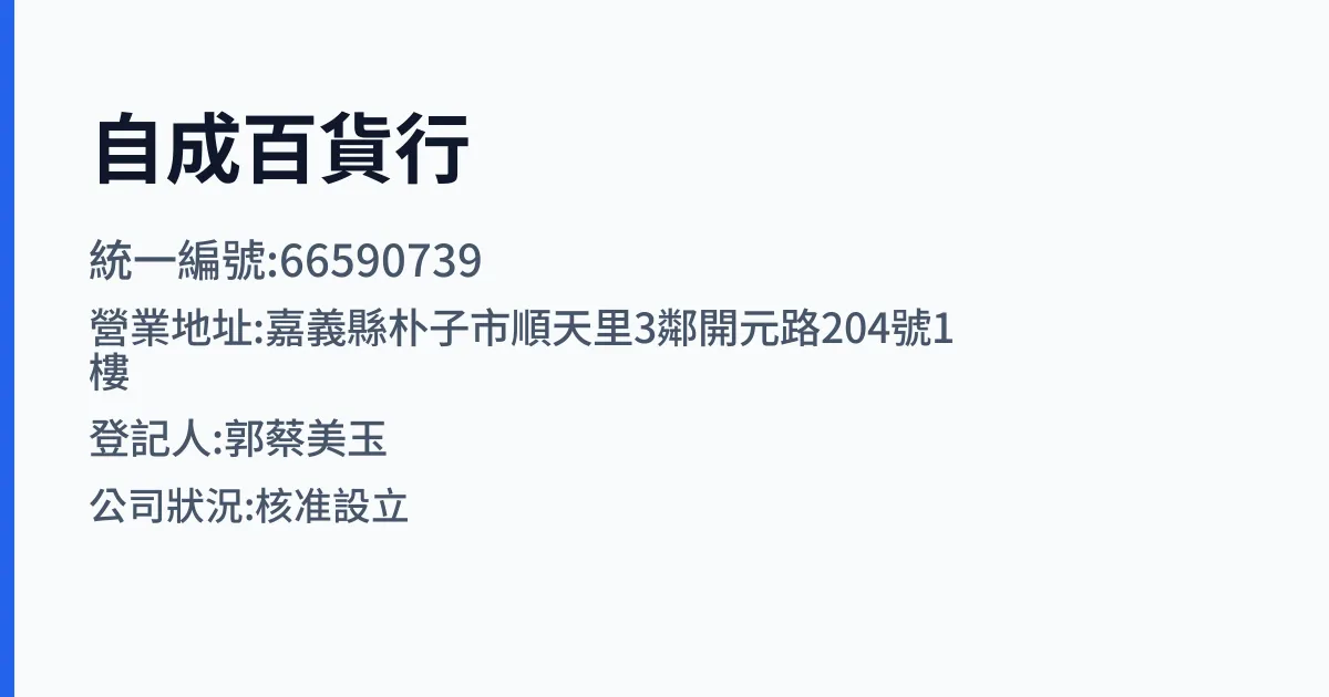 自成百貨行 - 統編 66590739(嘉義縣) 公司登記資料與營業項目詳細圖表