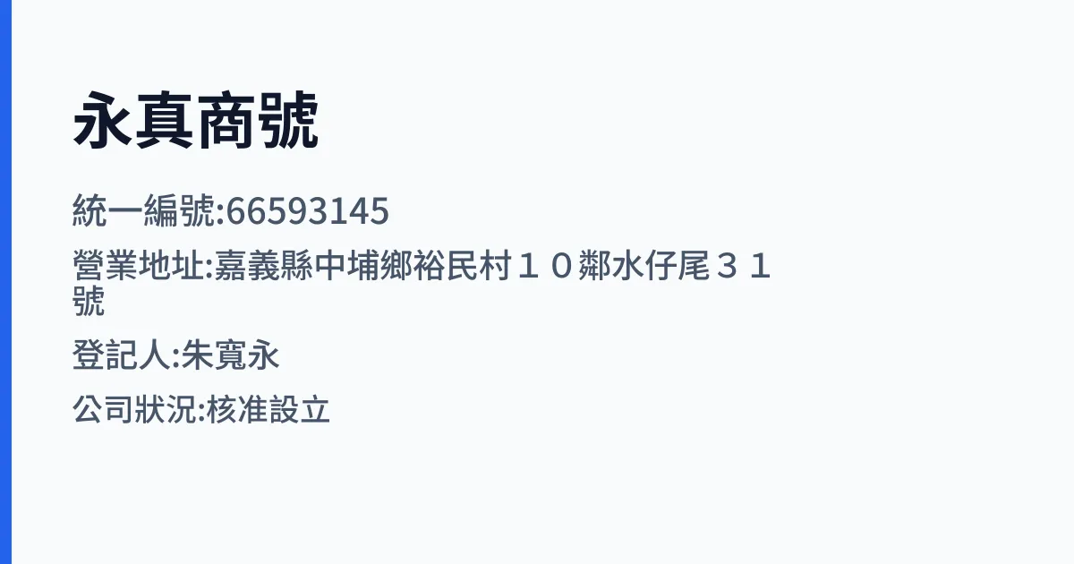 永真商號 - 統編 66593145(嘉義縣) 公司登記資料與營業項目詳細圖表