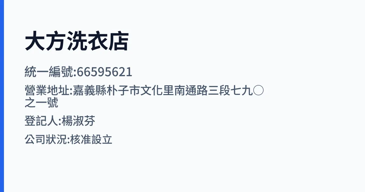 大方洗衣店 - 統編 66595621(嘉義縣) 公司登記資料與營業項目詳細圖表