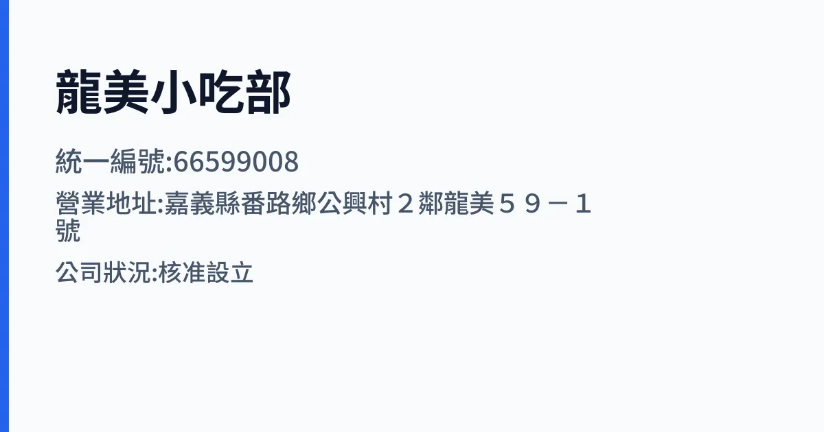 龍美小吃部 - 統編 66599008(嘉義縣) 公司登記資料與營業項目詳細圖表