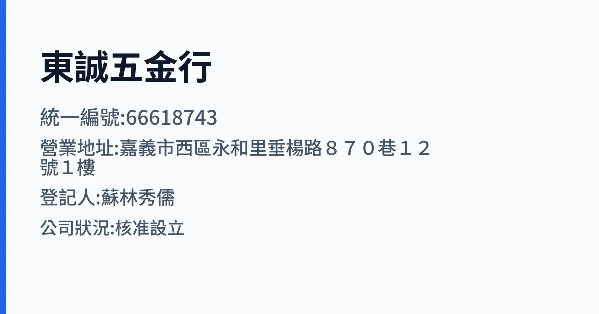 東誠五金行 - 統編 66618743(嘉義市) 公司登記資料與營業項目詳細圖表