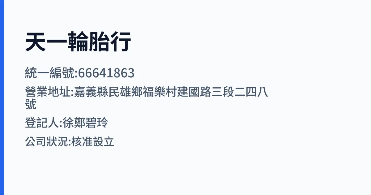 天一輪胎行 - 統編 66641863（嘉義縣） 公司登記資料與營業項目詳細圖表