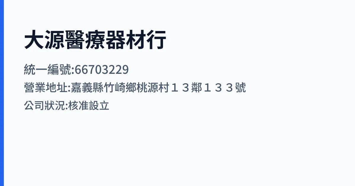 大源醫療器材行 - 統編 66703229(嘉義縣) 公司登記資料與營業項目詳細圖表