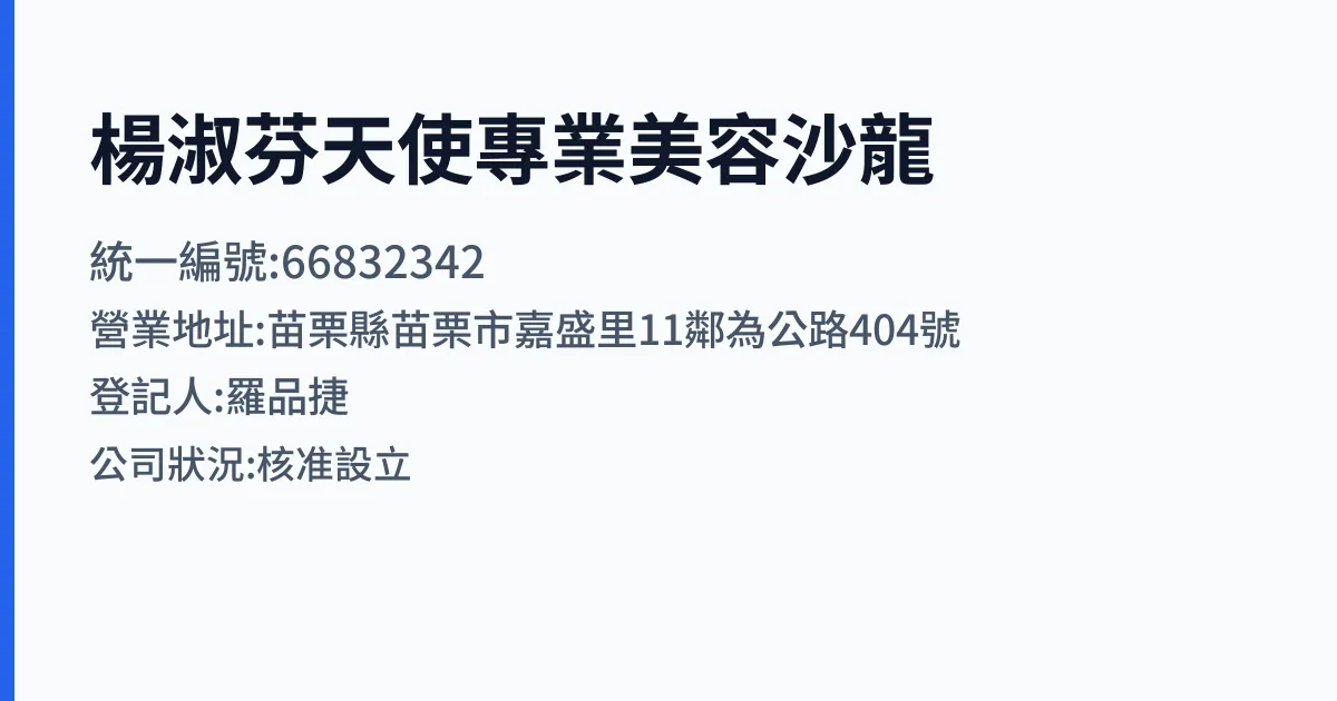 楊淑芬天使專業美容沙龍 - 統編 66832342(苗栗縣) 公司登記資料與營業項目詳細圖表