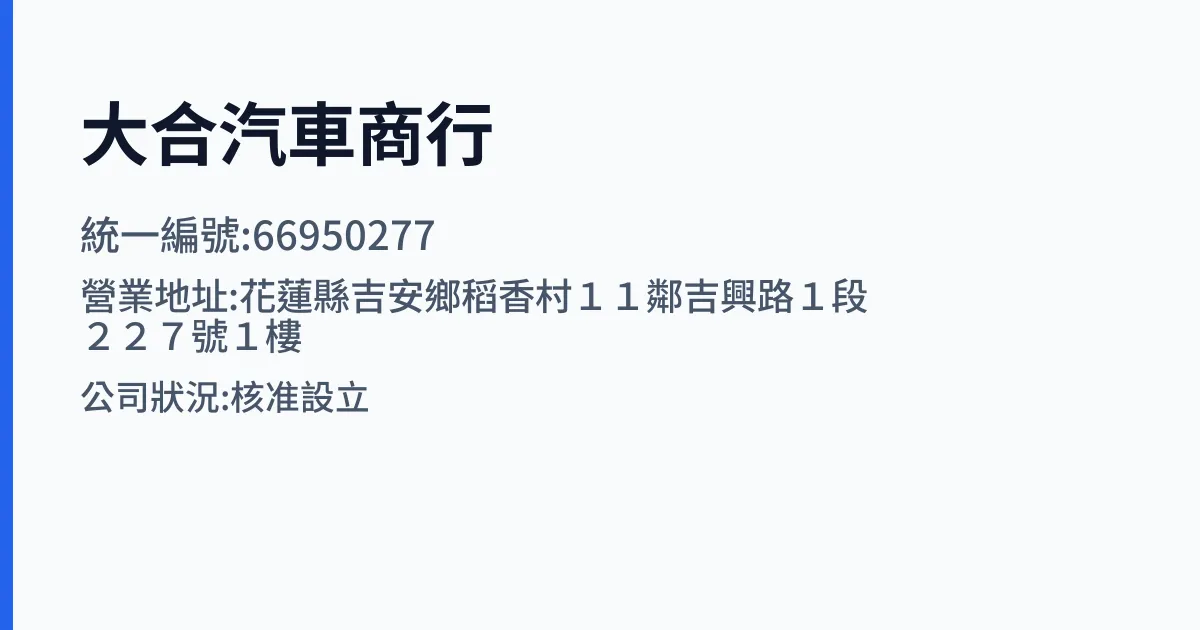 大合汽車商行 - 統編 66950277(花蓮縣) 公司登記資料與營業項目詳細圖表