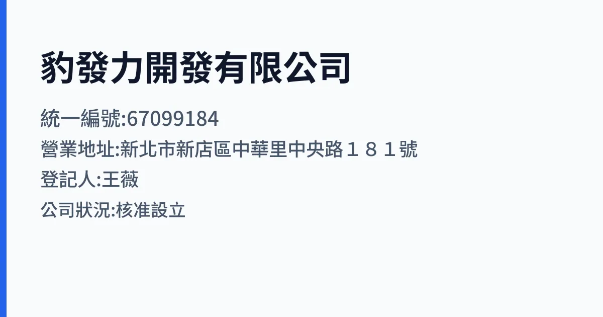 豹發力開發有限公司 - 統編 67099184(新北市) 公司登記資料與營業項目詳細圖表
