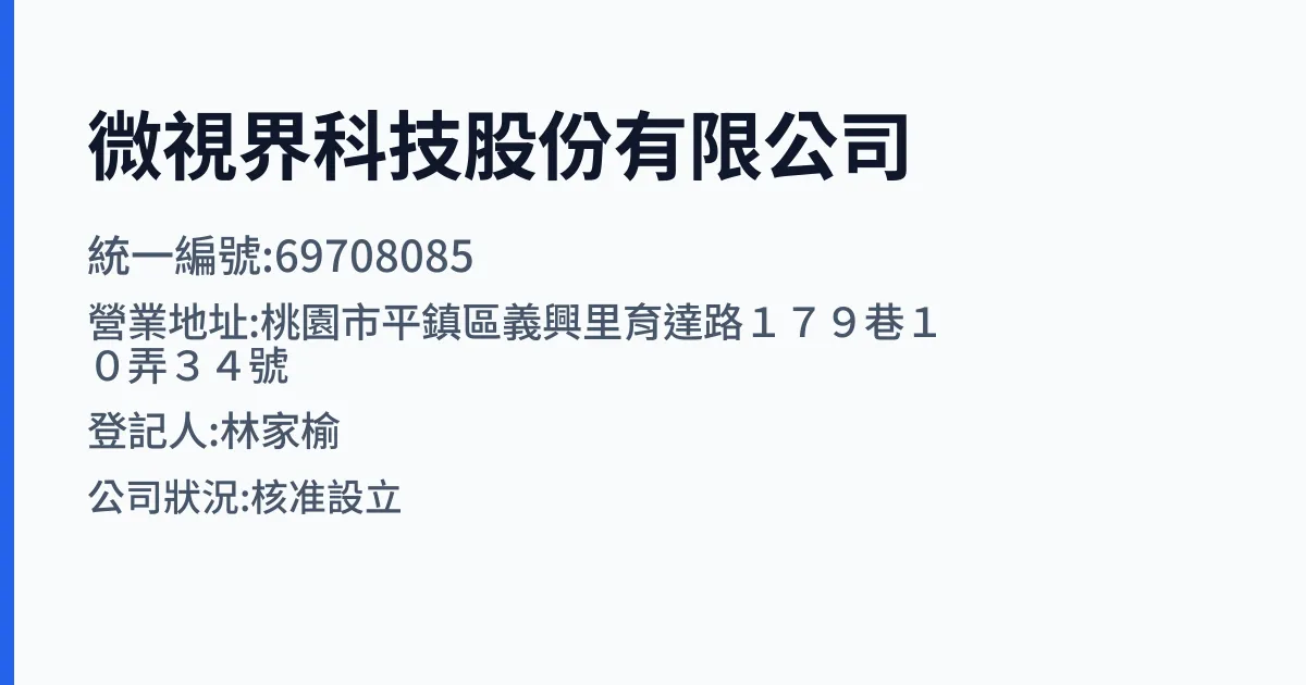 微視界科技股份有限公司 - 統編 69708085(桃園市) 公司登記資料與營業項目詳細圖表