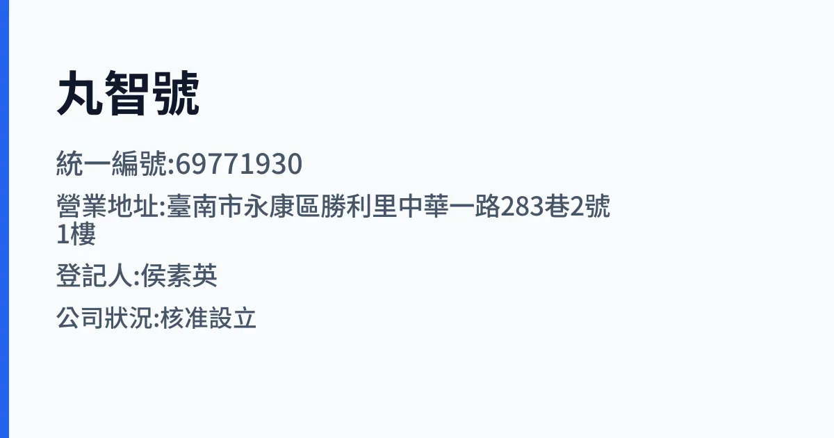 丸智號 - 統編 69771930（臺南市） 公司登記資料與營業項目詳細圖表