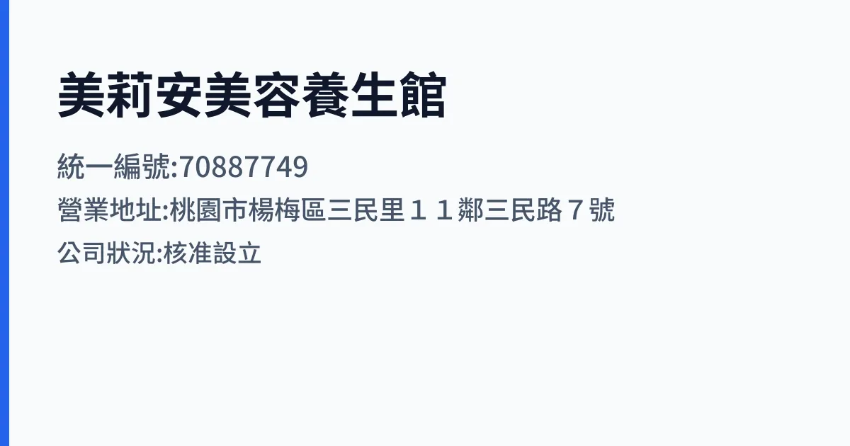 美莉安美容養生館 - 統編 70887749(桃園市) 公司登記資料與營業項目詳細圖表