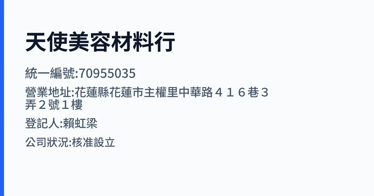 天使美容材料行 - 統編 70955035(花蓮縣) 公司登記資料與營業項目詳細圖表