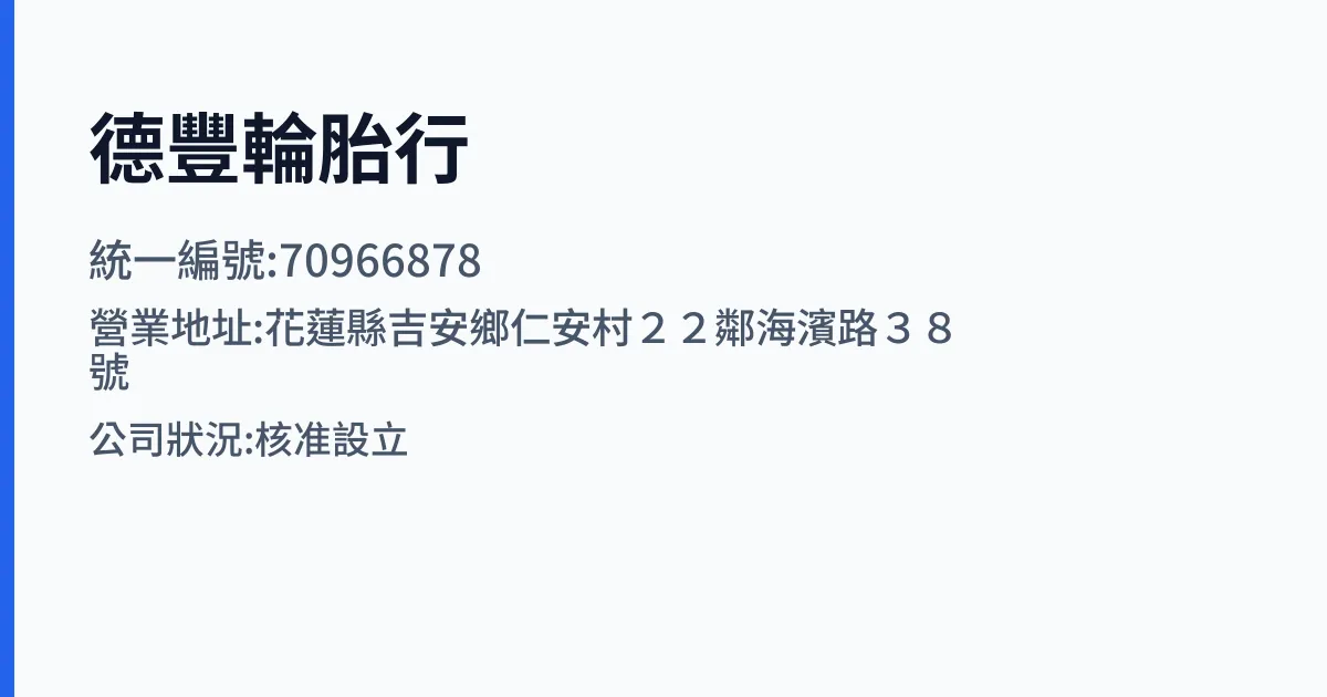 德豐輪胎行 - 統編 70966878(花蓮縣) 公司登記資料與營業項目詳細圖表