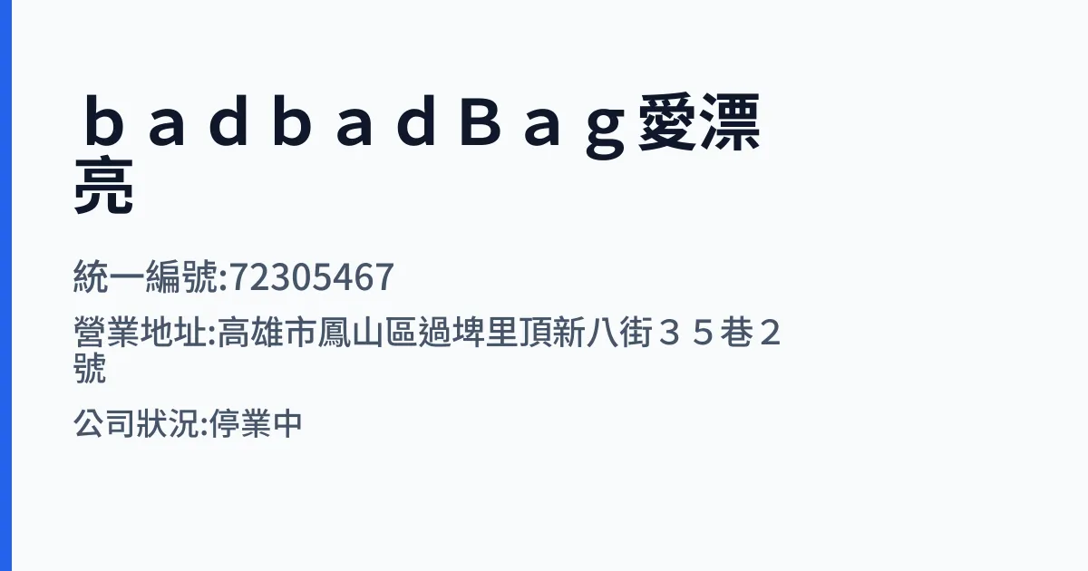 ｂａｄｂａｄＢａｇ愛漂亮 - 統編 72305467(高雄市) 公司登記資料與營業項目詳細圖表