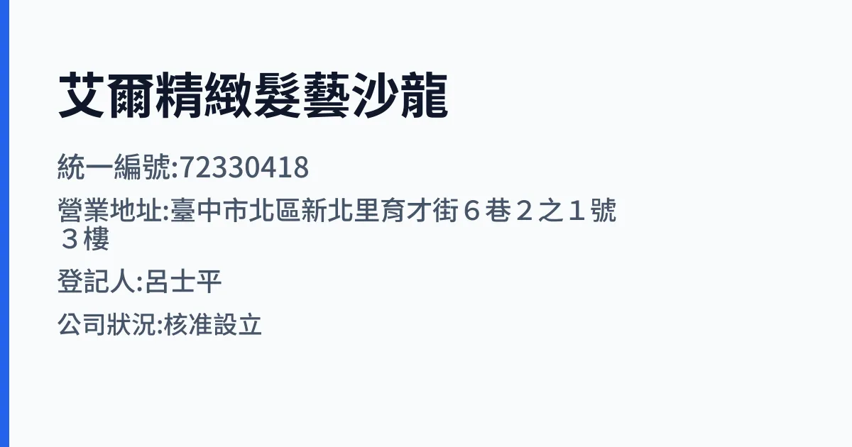 艾爾精緻髮藝沙龍 - 統編 72330418(臺中市) 公司登記資料與營業項目詳細圖表