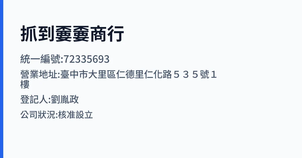抓到嫑嫑商行 - 統編 72335693(臺中市) 公司登記資料與營業項目詳細圖表