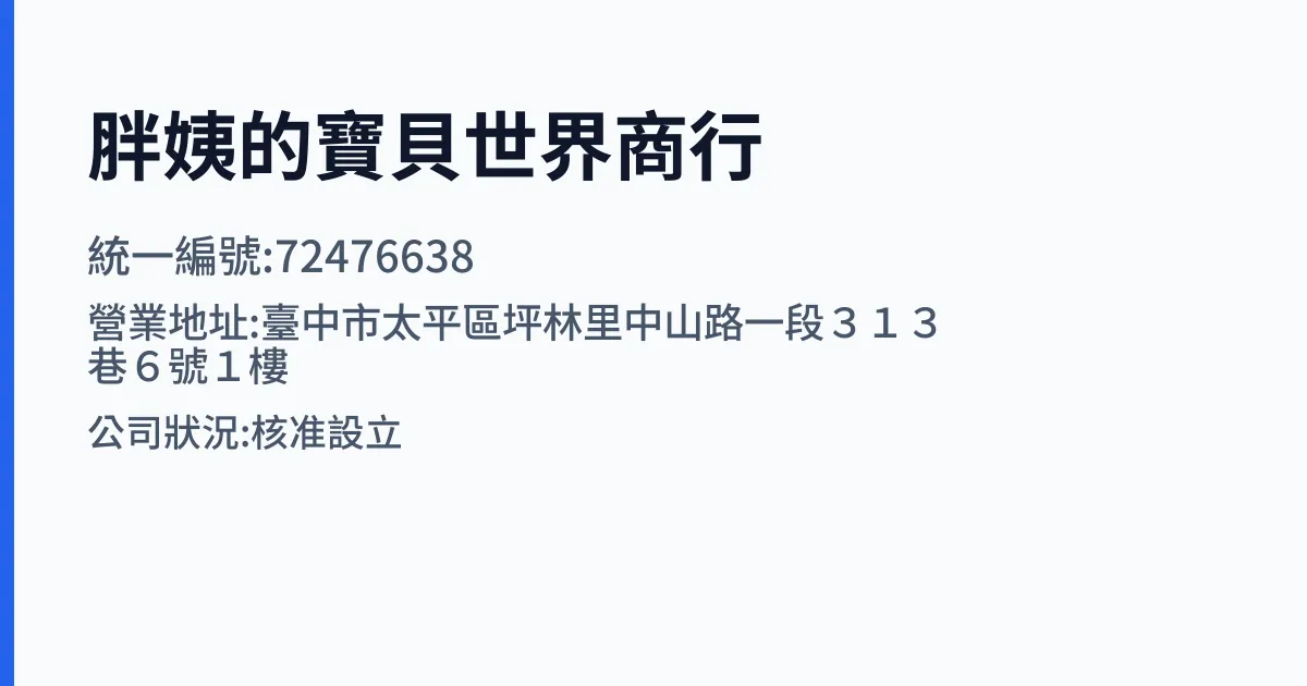 胖姨的寶貝世界商行 - 統編 72476638(臺中市) 公司登記資料與營業項目詳細圖表