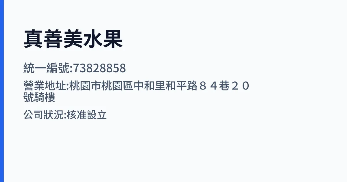 真善美水果 - 統編 73828858（桃園市） 公司登記資料與營業項目詳細圖表