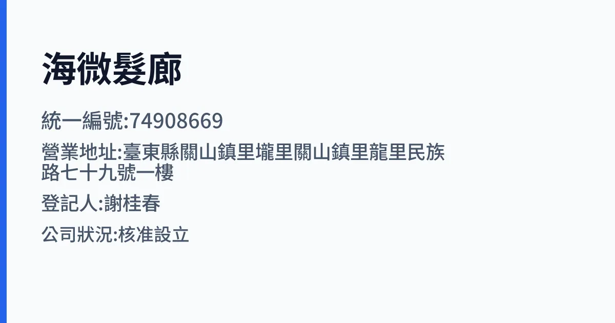 海微髮廊 - 統編 74908669(臺東縣) 公司登記資料與營業項目詳細圖表