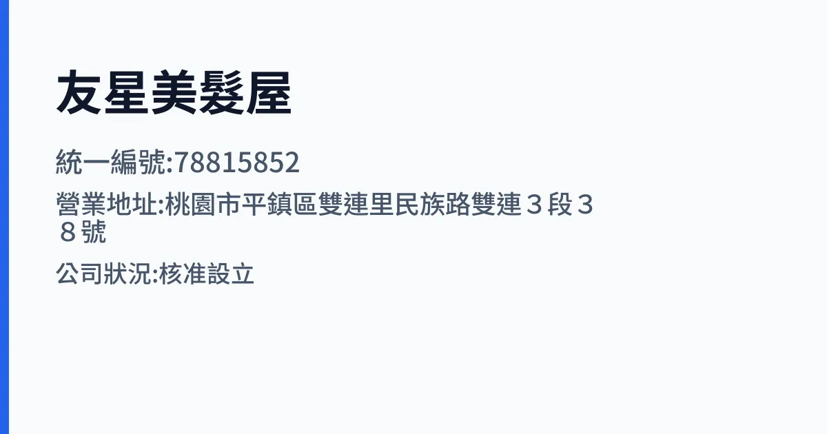 友星美髮屋 - 統編 78815852(桃園市) 公司登記資料與營業項目詳細圖表