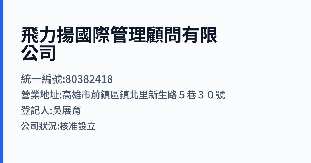 飛力揚國際管理顧問有限公司 - 統編 80382418(高雄市) 公司登記資料與營業項目詳細圖表