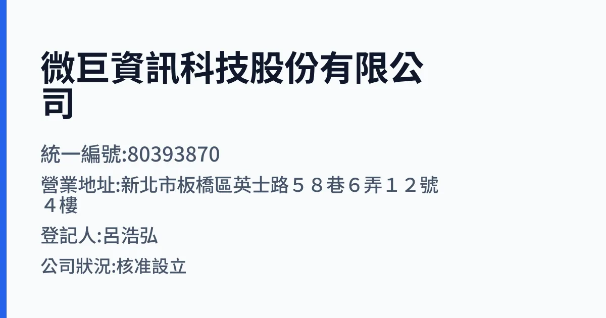 微巨資訊科技股份有限公司 - 統編 80393870(新北市) 公司登記資料與營業項目詳細圖表