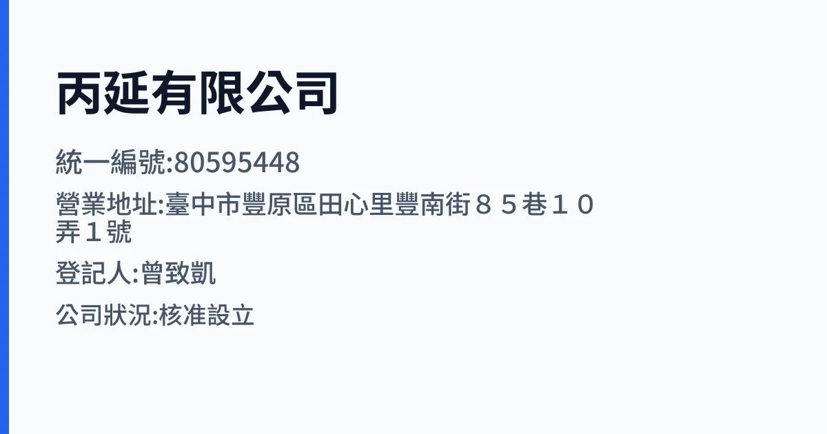 丙延有限公司 - 統編 80595448（臺中市） 公司登記資料與營業項目詳細圖表