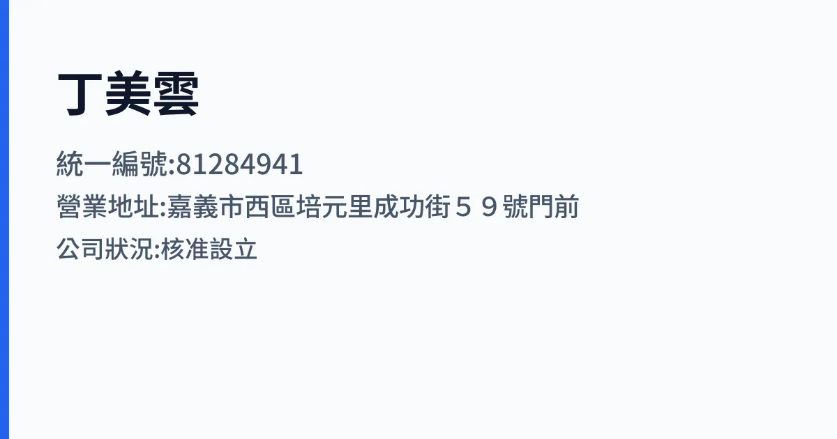 丁美雲 - 統編 81284941（嘉義市） 公司登記資料與營業項目詳細圖表