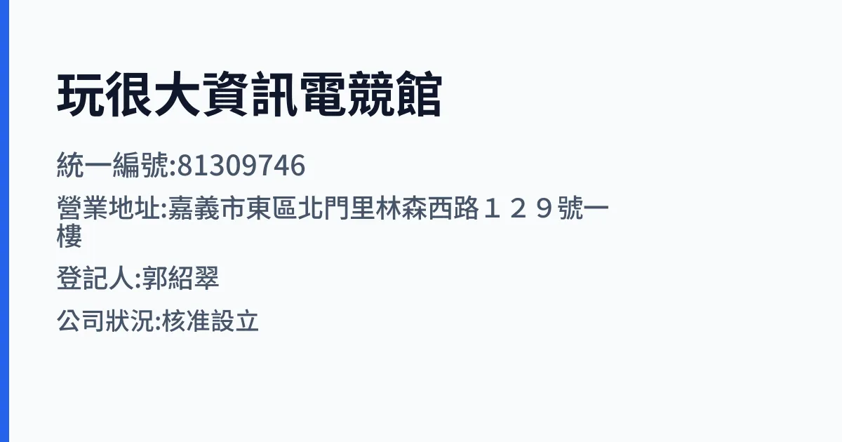 玩很大資訊電競館 - 統編 81309746(嘉義市) 公司登記資料與營業項目詳細圖表