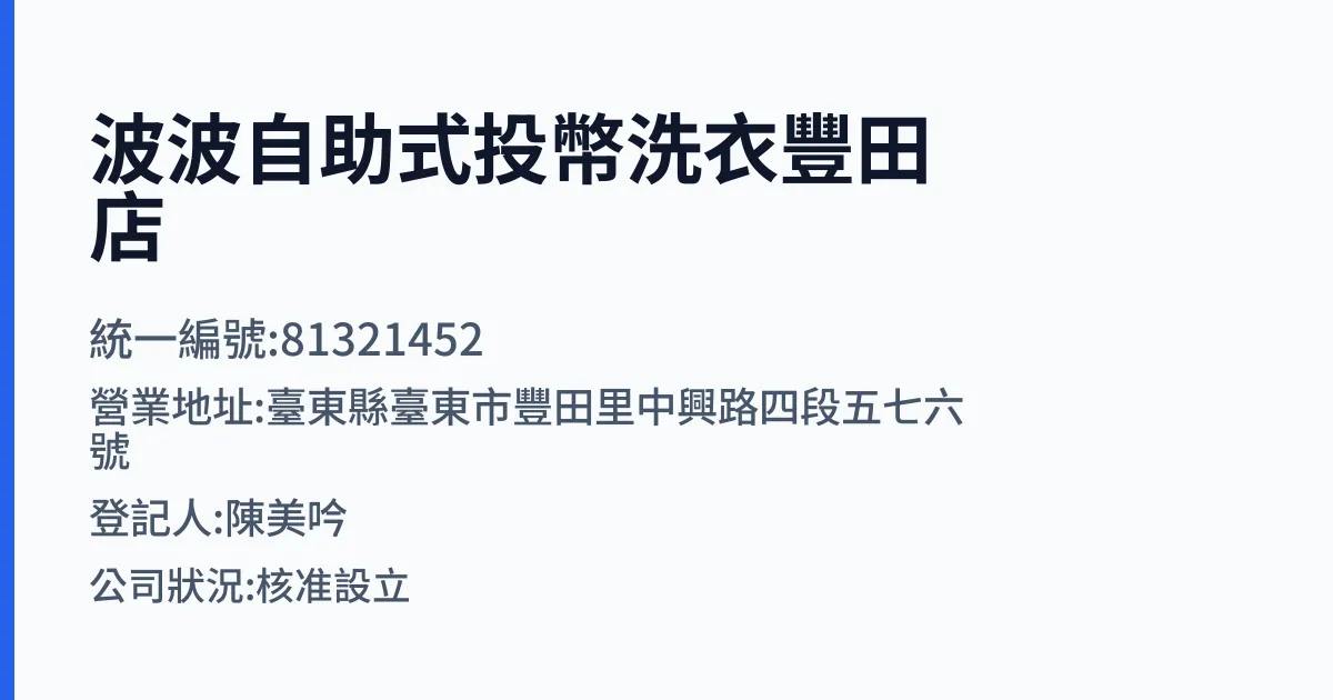波波自助式投幣洗衣豐田店 - 統編 81321452(臺東縣) 公司登記資料與營業項目詳細圖表
