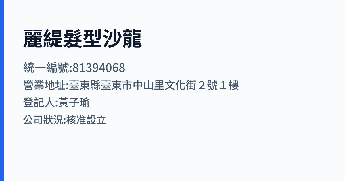 麗緹髮型沙龍 - 統編 81394068(臺東縣) 公司登記資料與營業項目詳細圖表
