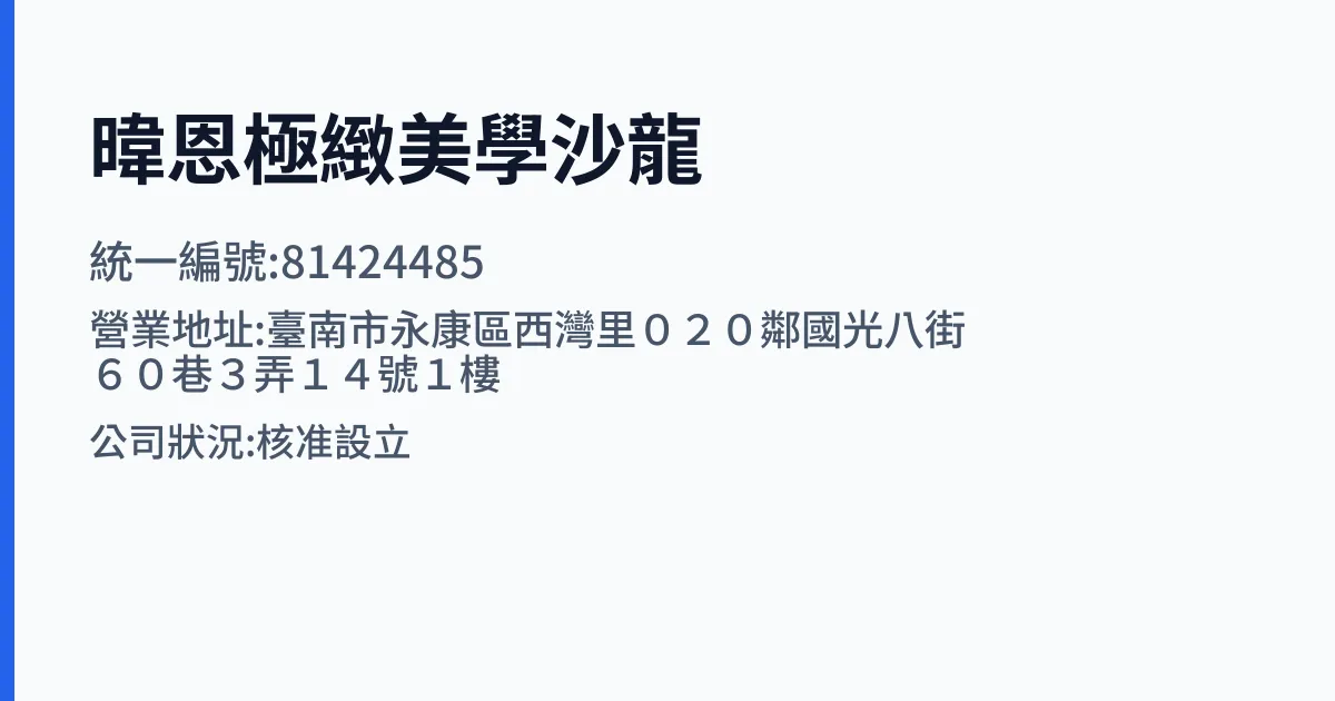 暐恩極緻美學沙龍 - 統編 81424485(臺南市) 公司登記資料與營業項目詳細圖表