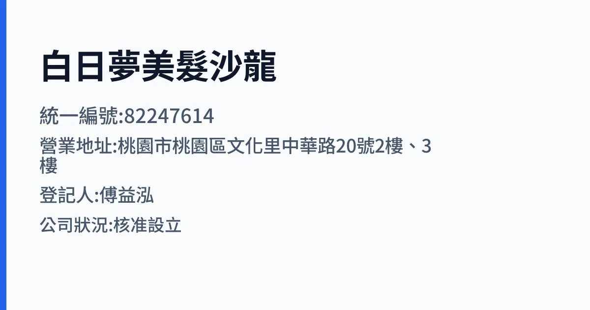 白日夢美髮沙龍 - 統編 82247614(桃園市) 公司登記資料與營業項目詳細圖表
