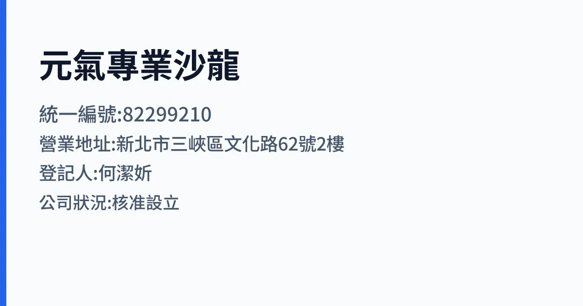 元氣專業沙龍 - 統編 82299210(新北市) 公司登記資料與營業項目詳細圖表