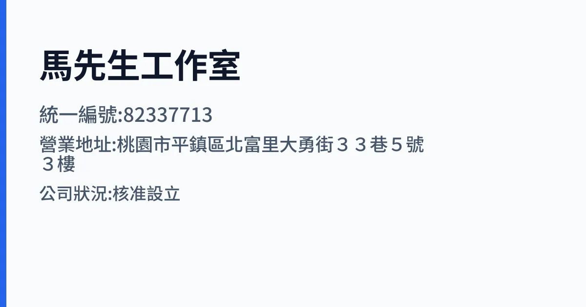 馬先生工作室 - 統編 82337713(桃園市) 公司登記資料與營業項目詳細圖表