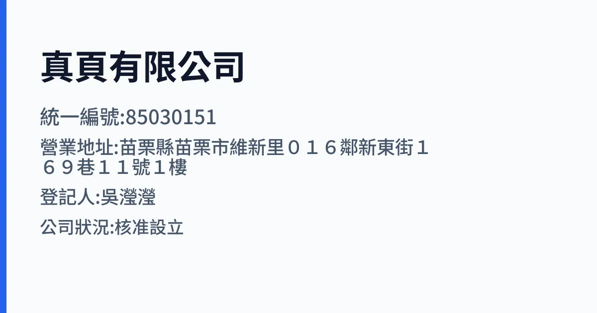真頁有限公司 - 統編 85030151(臺北市) 公司登記資料與營業項目詳細圖表