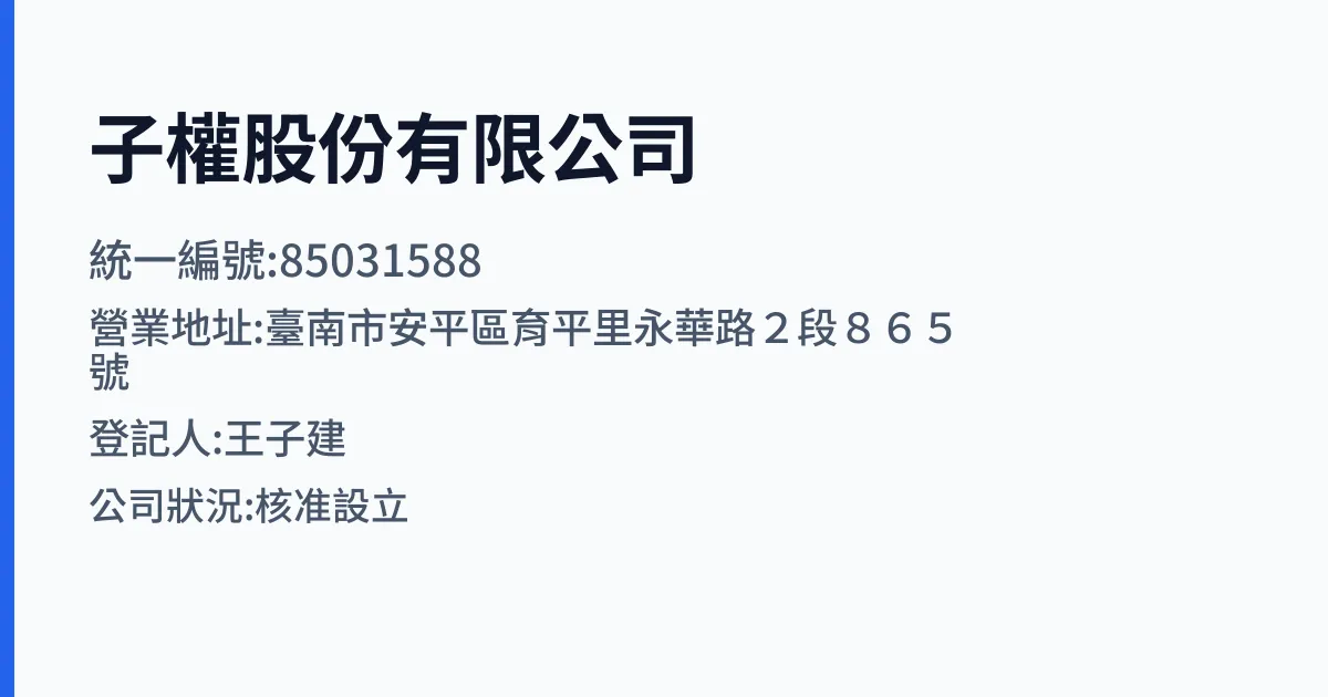 子權股份有限公司 - 統編 85031588(臺南市) 公司登記資料與營業項目詳細圖表