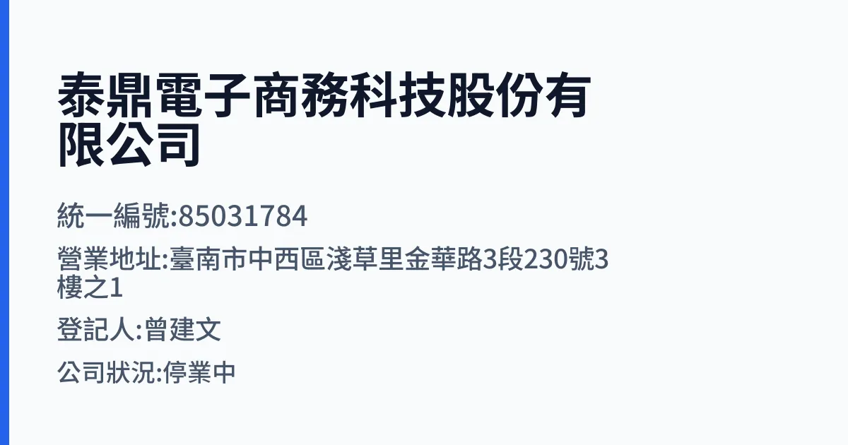泰鼎電子商務科技股份有限公司 - 統編 85031784(臺南市) 公司登記資料與營業項目詳細圖表