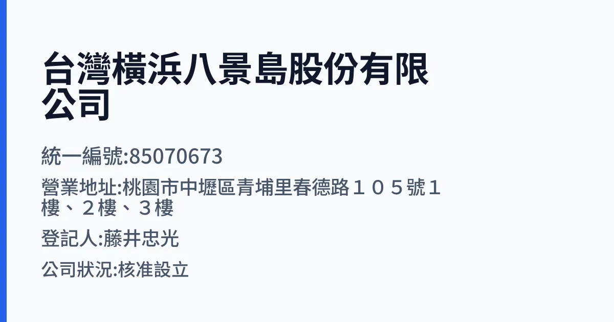 台灣橫浜八景島股份有限公司 - 統編 85070673(桃園市) 公司登記資料與營業項目詳細圖表